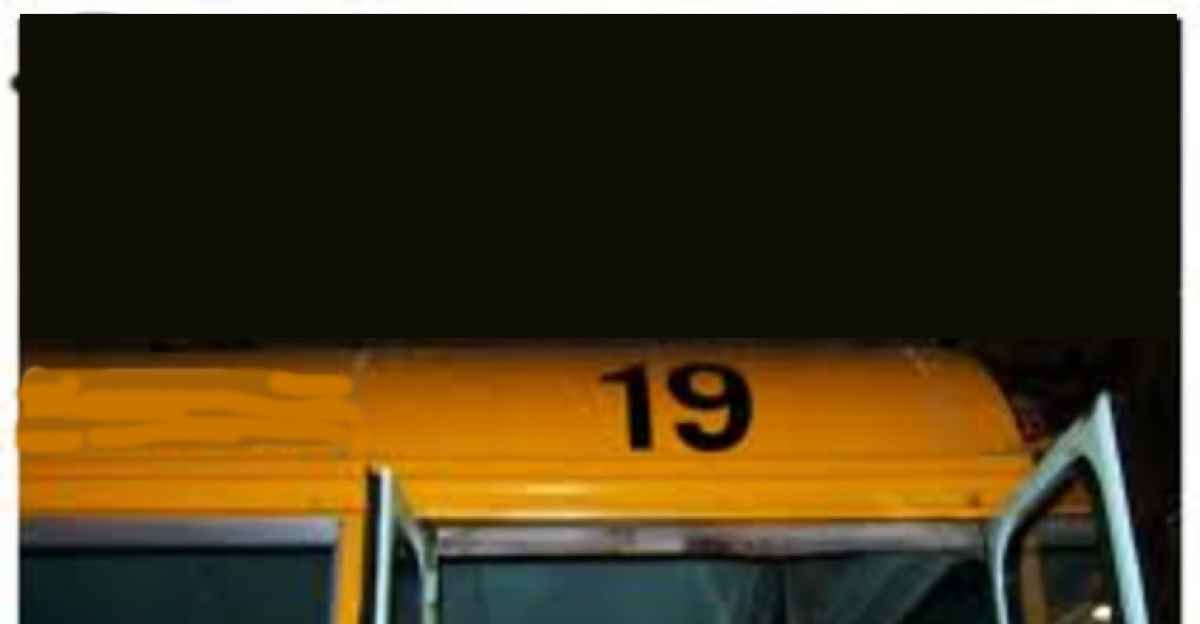 Bus n.19, assalto quotidiano degli ospiti del Cara: risse e incidenti ...