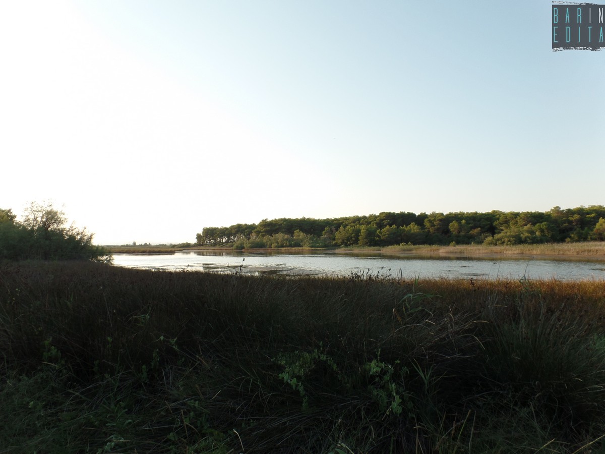 La riserva naturale di Stornara | Barinedita - Testata giornalistica online