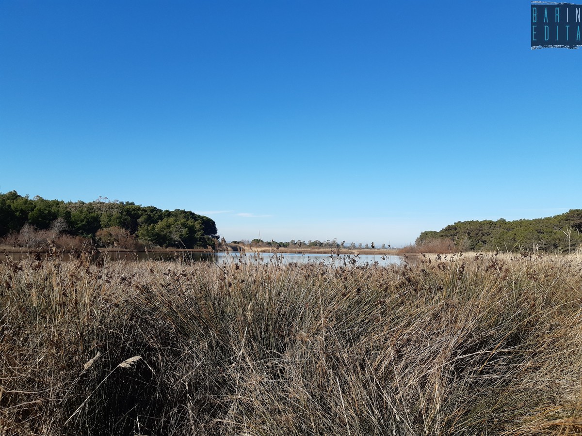 La riserva naturale di Stornara | Barinedita - Testata giornalistica online