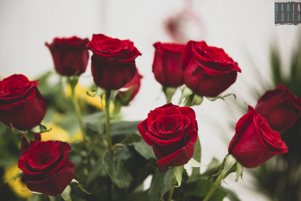 I fiorai storici di Bari | Barinedita - Testata giornalistica online