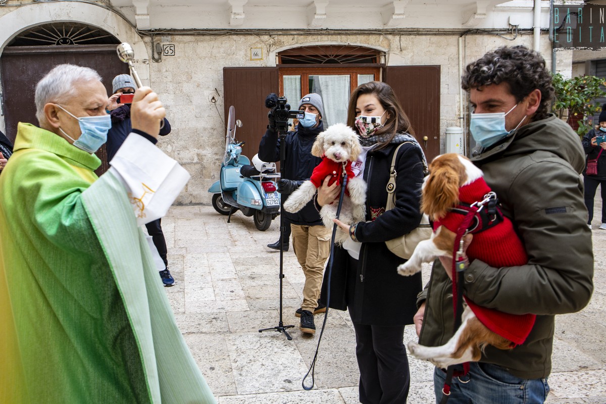 Bari la benedizione degli animali | Barinedita - Testata giornalistica ...