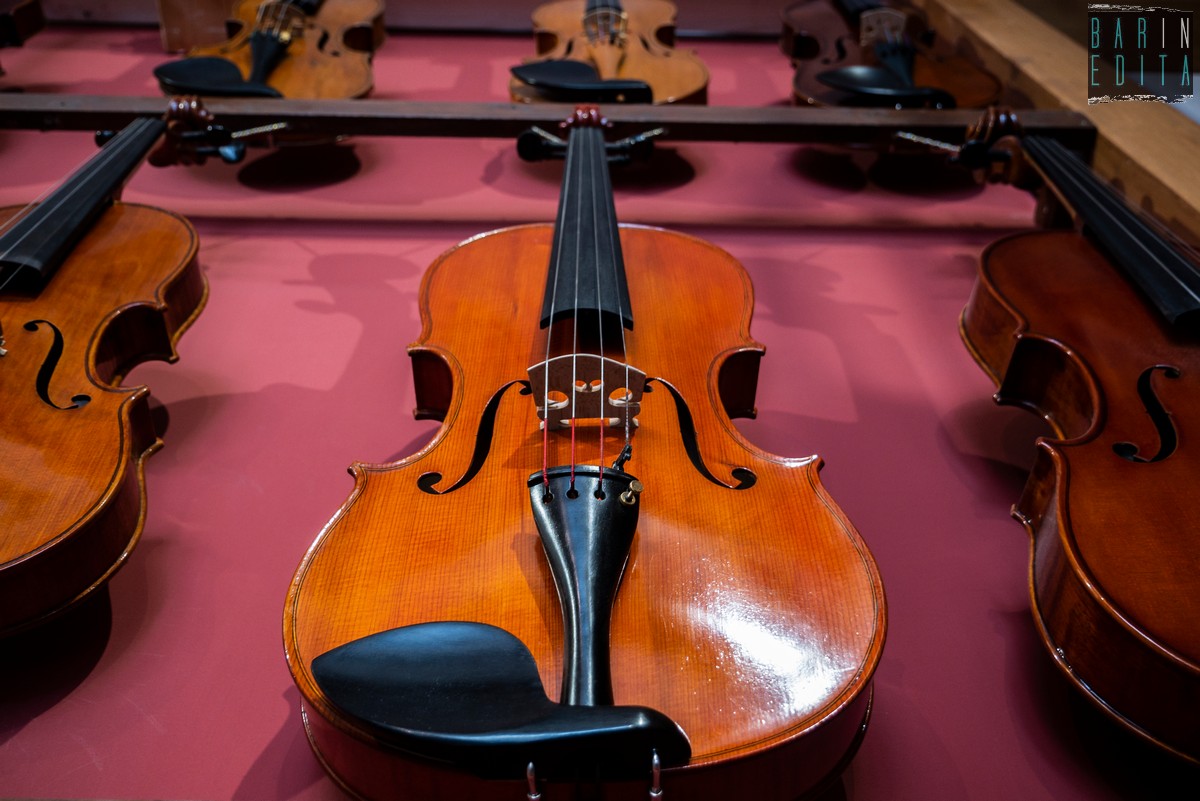 Viole, violini e violoncelli fatti a mano: la storia e i segreti dei ...