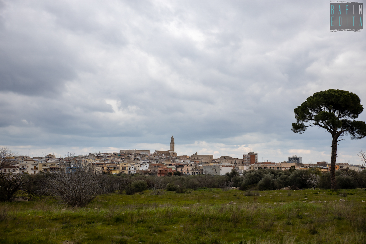 La storia di Palo del Colle, dalle origini greche alla pittoresca ...
