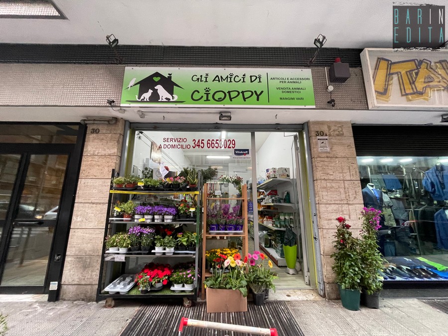 I negozi di animali di Bari | Barinedita - Testata giornalistica online