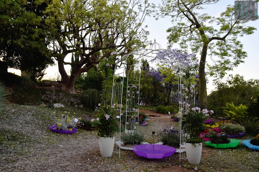 Farfalia, la casa delle farfalle | Barinedita - Testata giornalistica ...