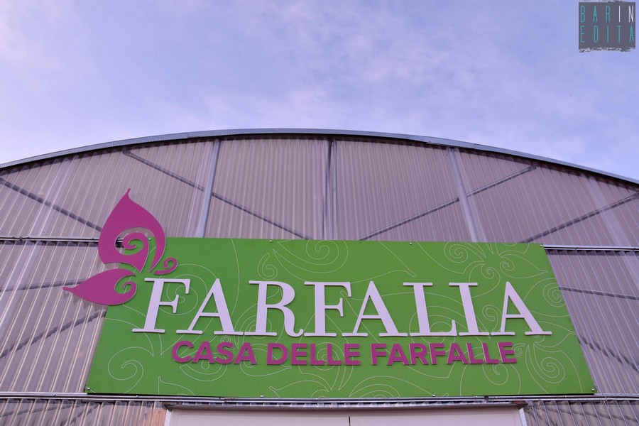 Farfalia la casa delle farfalle | Barinedita - Testata giornalistica online